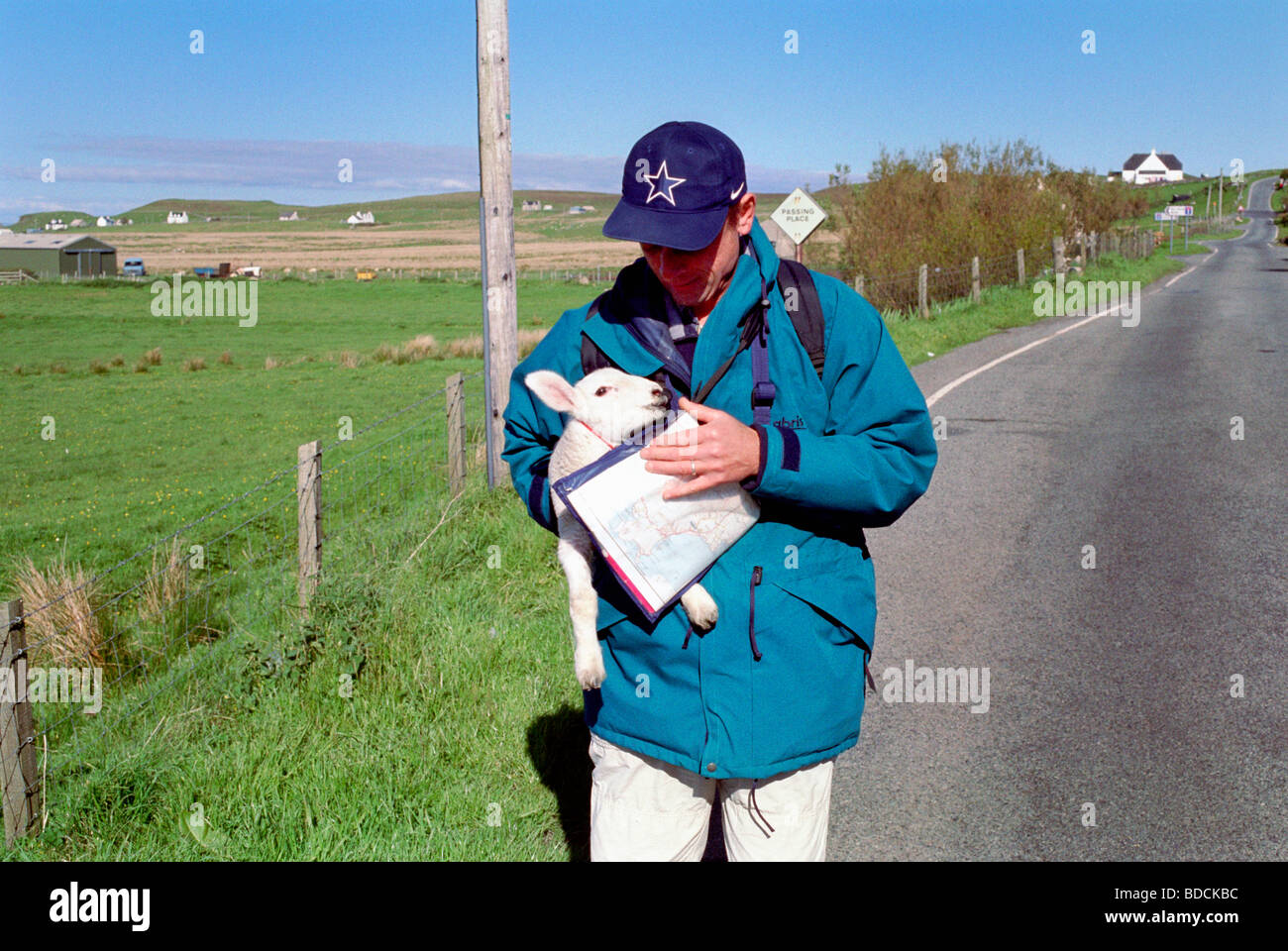 Carrying sheep hi-res stock photography and images - Alamy