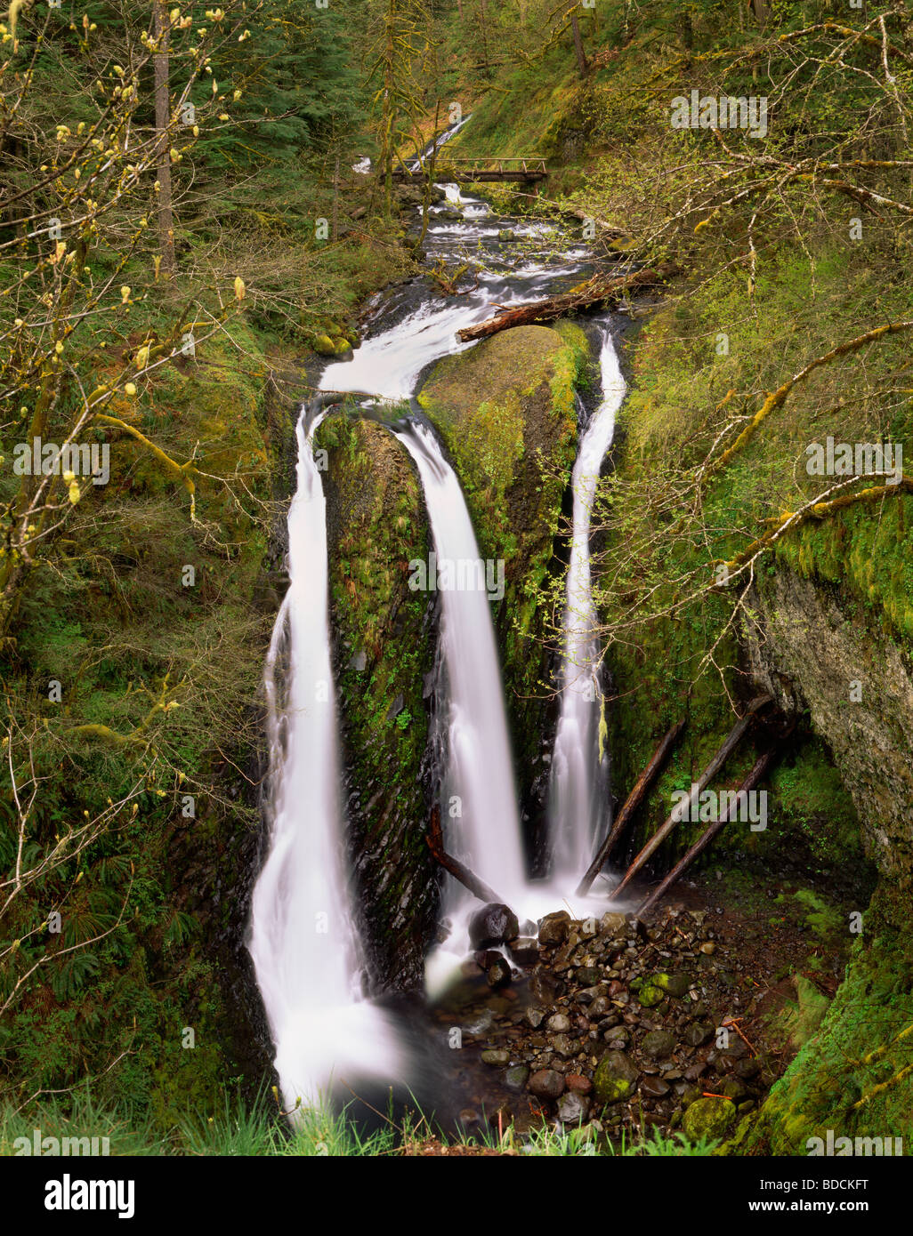 Triple Falls, Columbia River Gorge National Scenic Area Oregon USA Stock Photo - Alamy