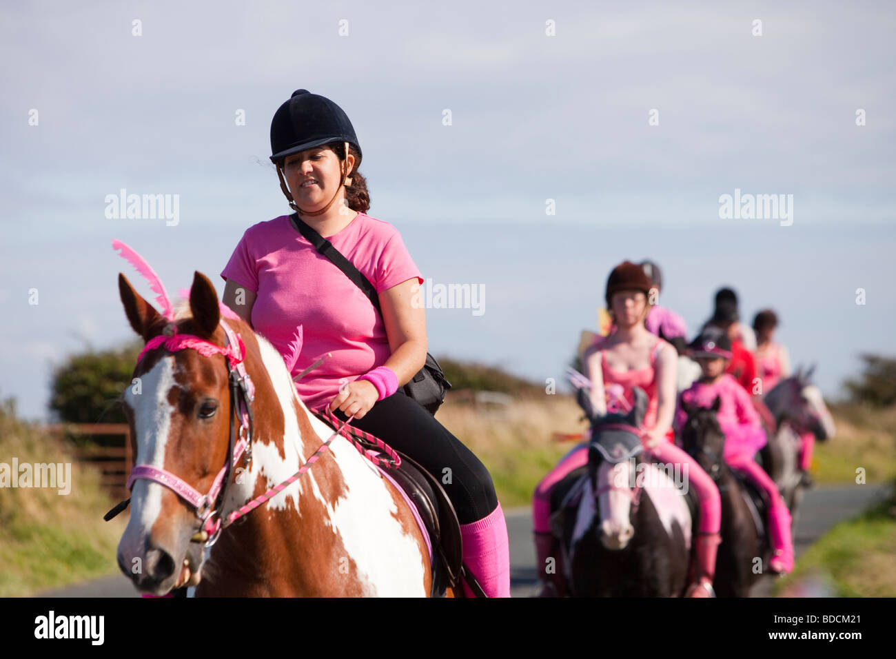 A horse riding school on Walney Island Barrow in Furness Cumbria UK ...