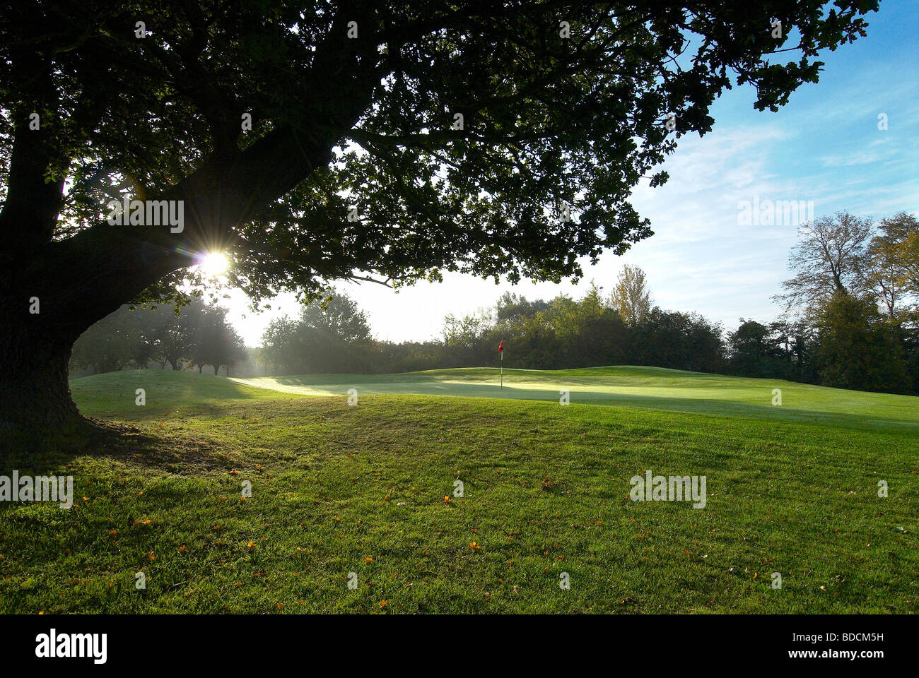 Early golf club hi-res stock photography and images - Alamy