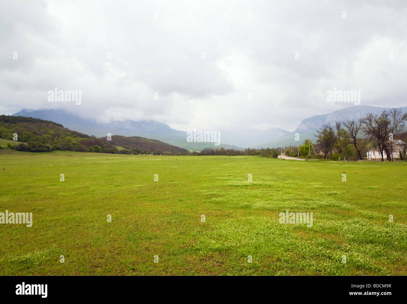 spring meadow and misty dull day Stock Photo - Alamy