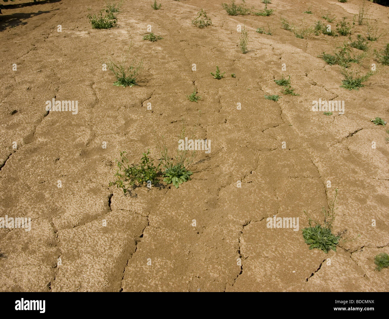 drought, land, desert, sand, heat, scarcity Stock Photo - Alamy