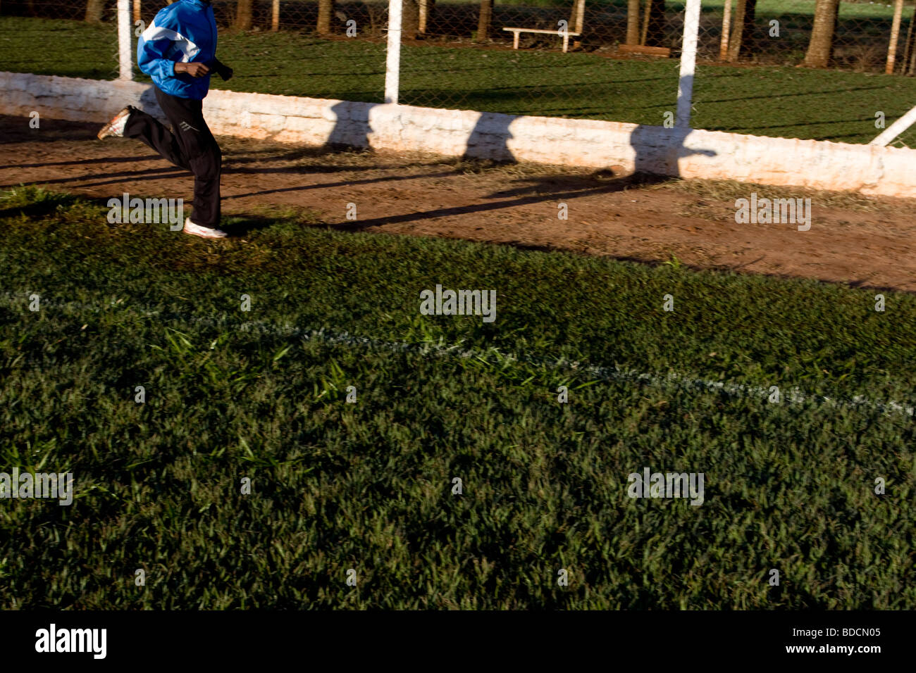 Professional runners from Africa training in Brazil for street races or ...