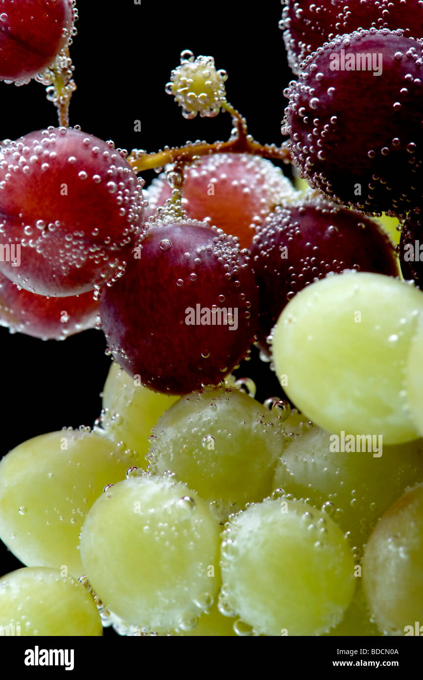 object on black - grapes in water Stock Photo - Alamy