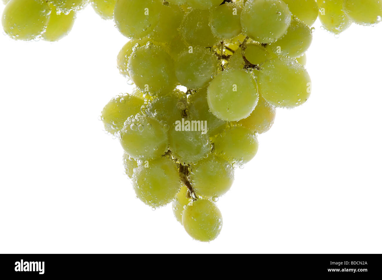 object on white - Green grapes in water Stock Photo - Alamy