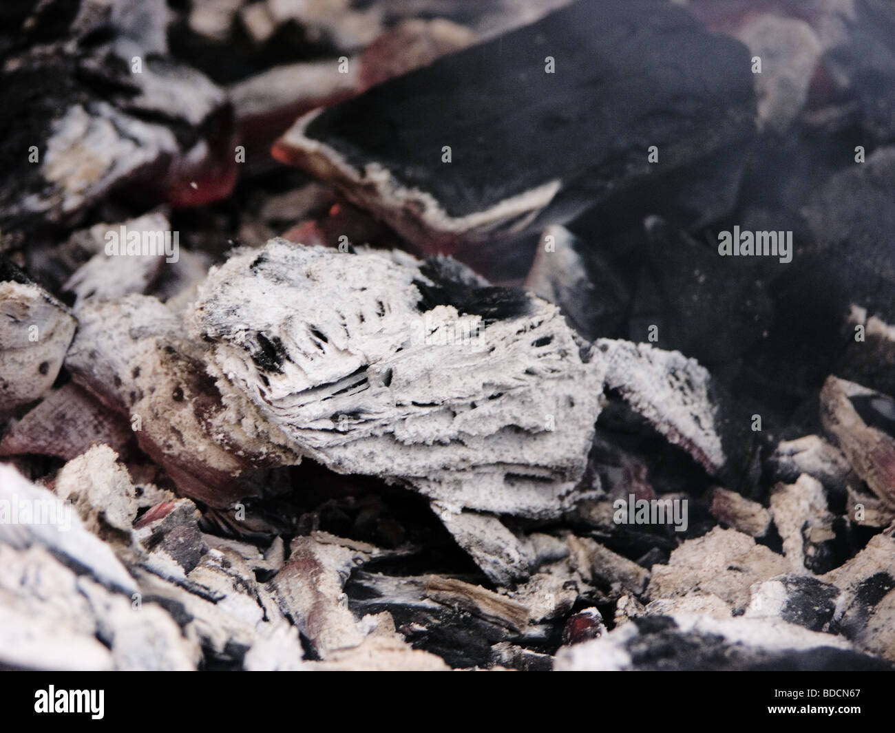 grill, grilling, charcoal, briquette, heat, fire, fireplace,horizontal ...