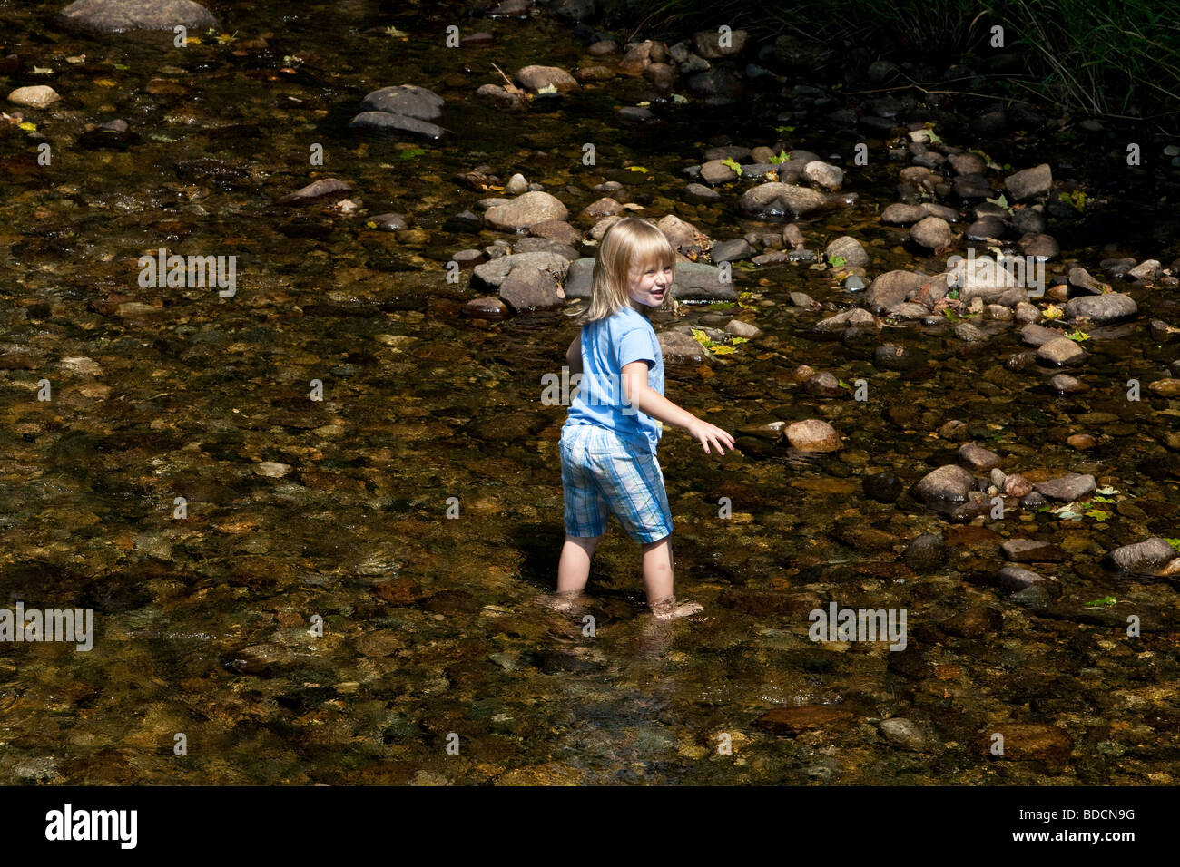 A young girl wading in a stream in Vermont United States on a hot ...