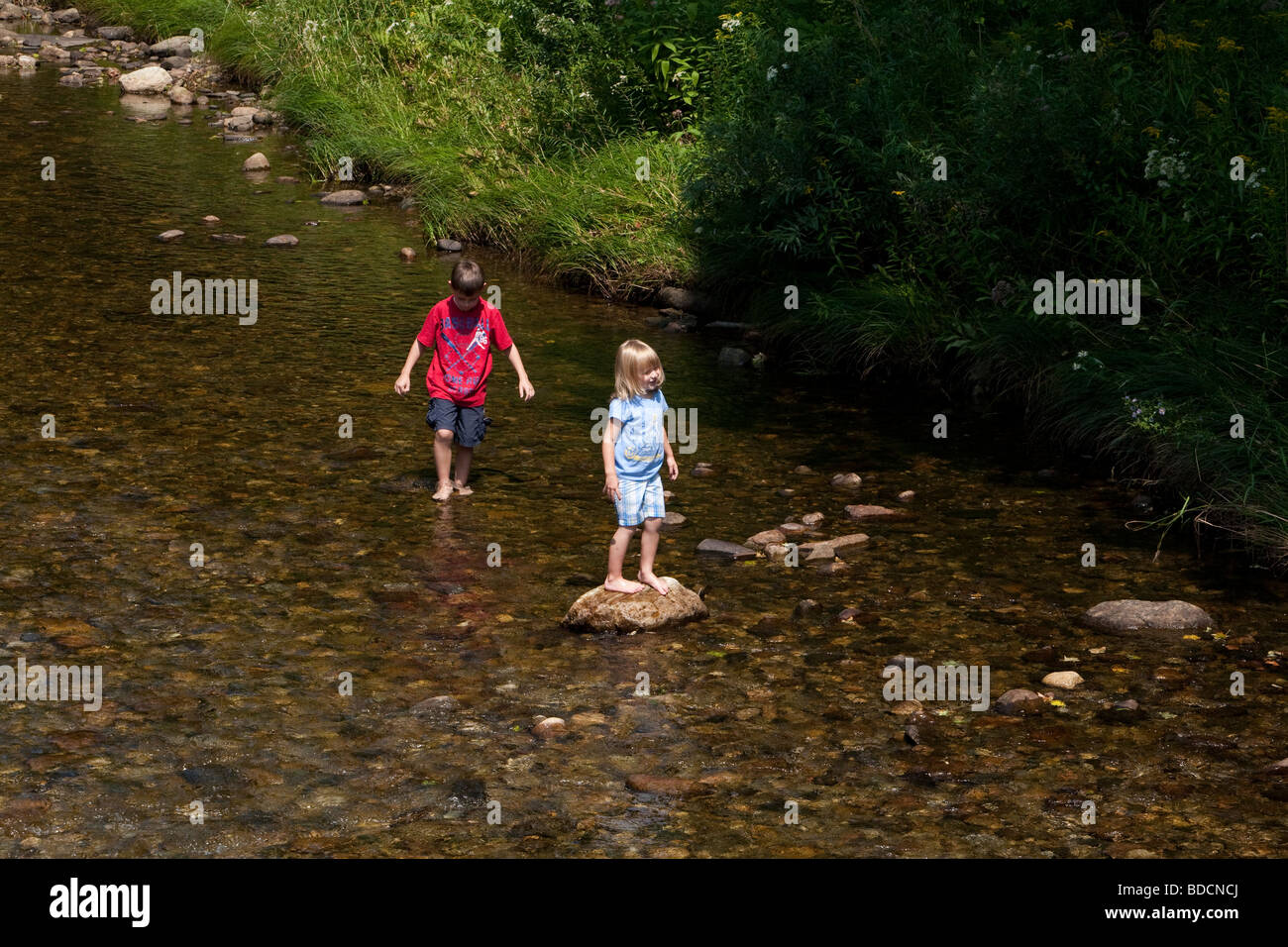 Summer wading hi-res stock photography and images - Alamy