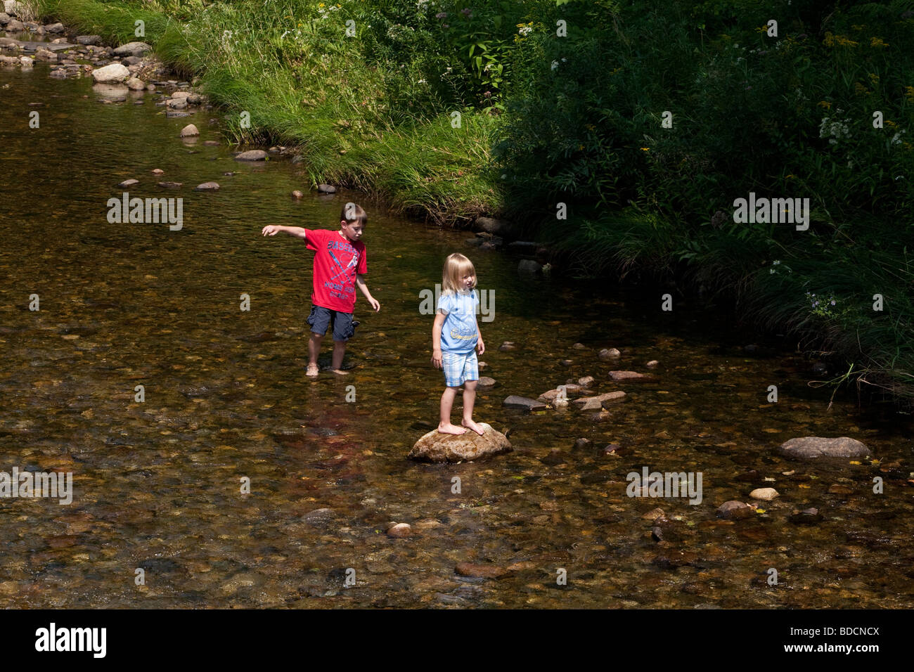 Two children, a brother and sister wading in a stream on a hot summer ...