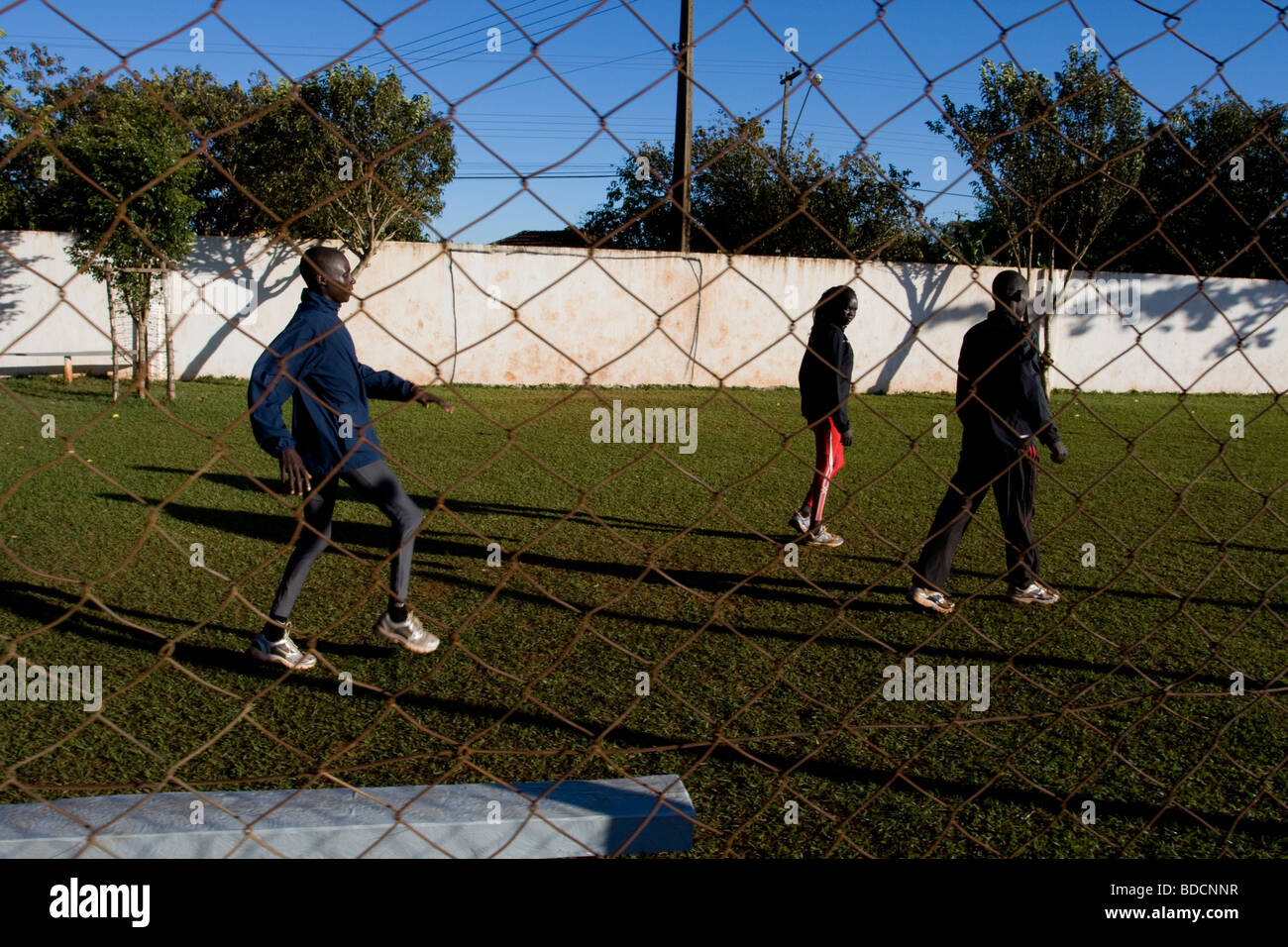 Professional runners from Africa training in Brazil for street races or ...