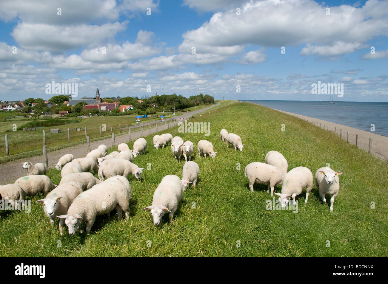 Dike Waddenzee High Resolution Stock Photography and Images - Alamy