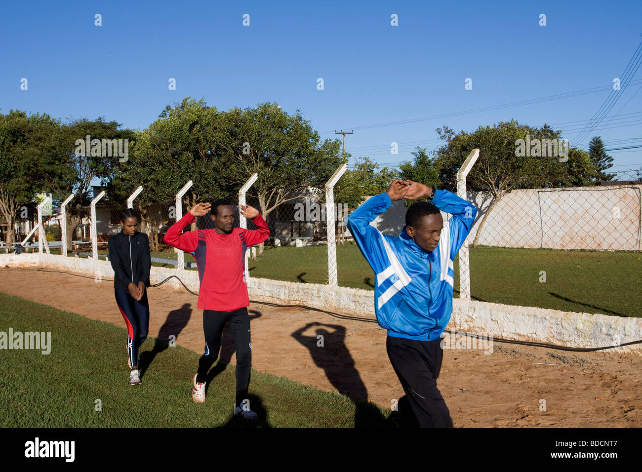 Professional runners from Africa training in Brazil for street races or ...