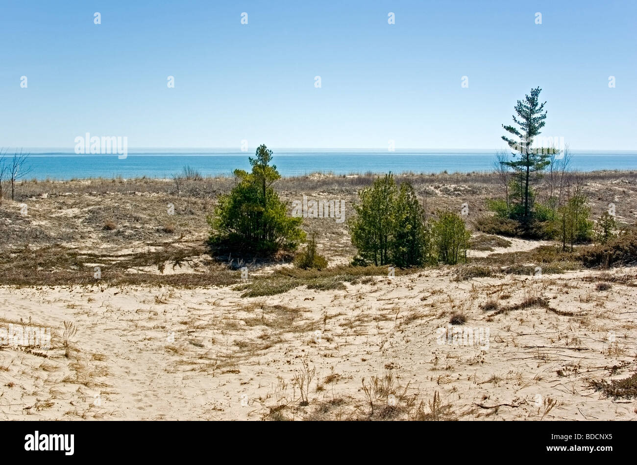 Lake Michigan shoreline dunes Point Beach State Forest Wisconsin Stock ...