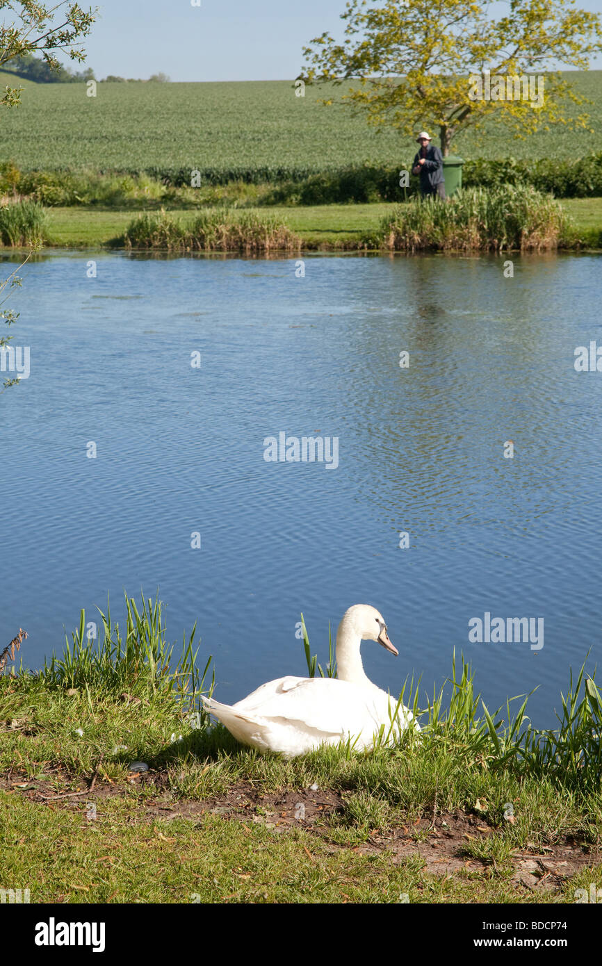 Meon springs trout fishery hi-res stock photography and images - Alamy