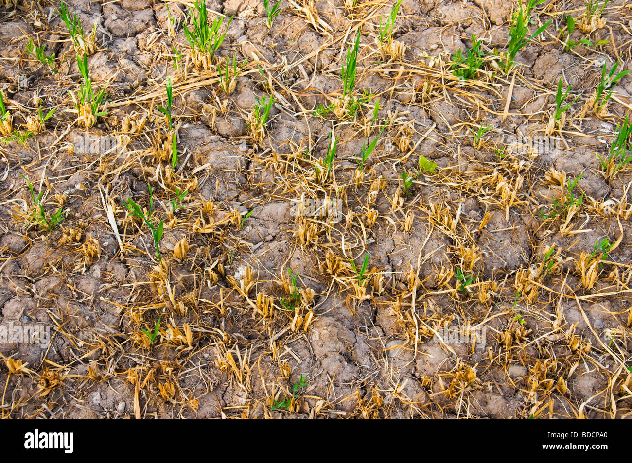 Soil degradation hi-res stock photography and images - Alamy