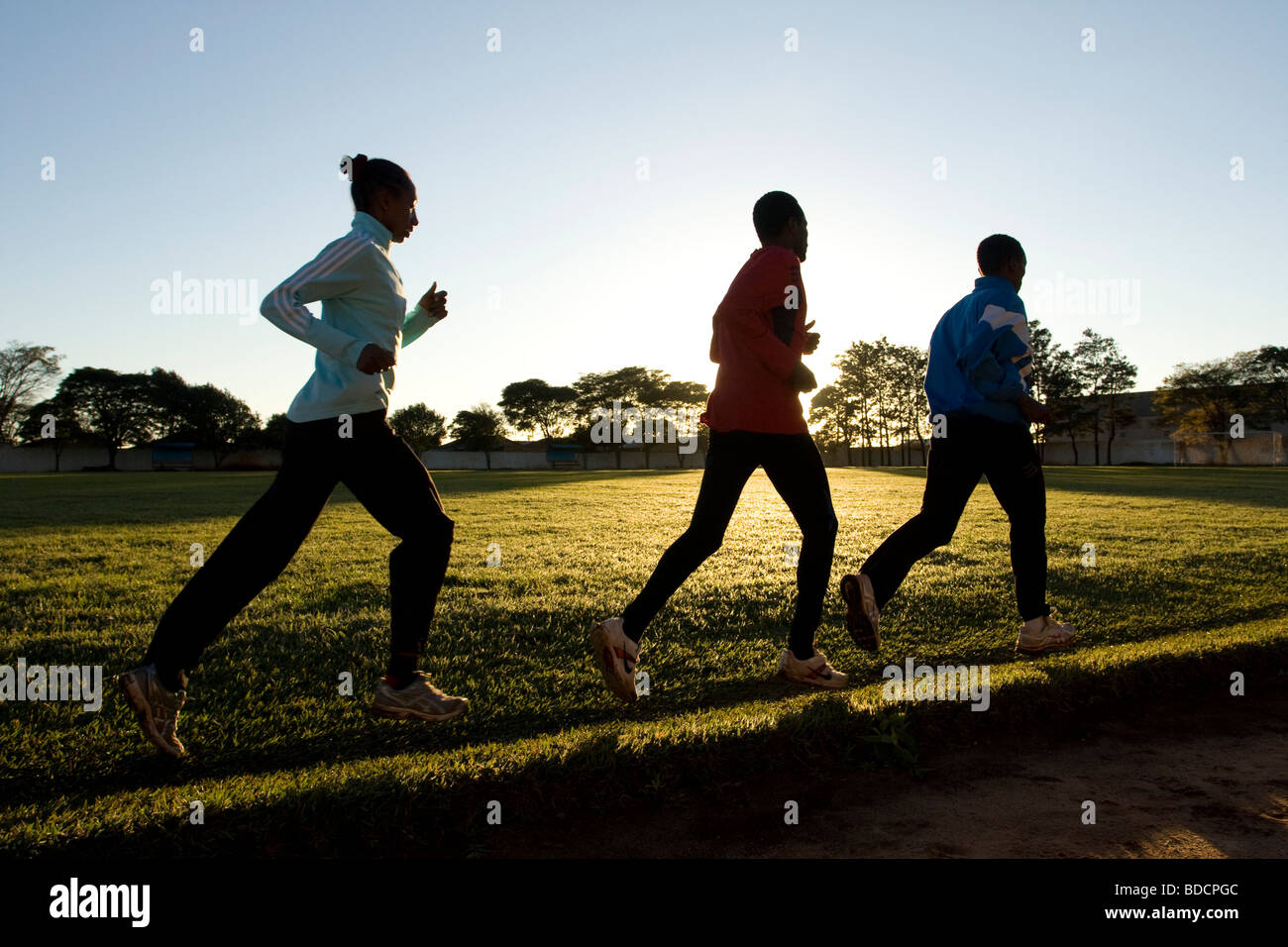 Professional runners from Africa training in Brazil for street races or ...