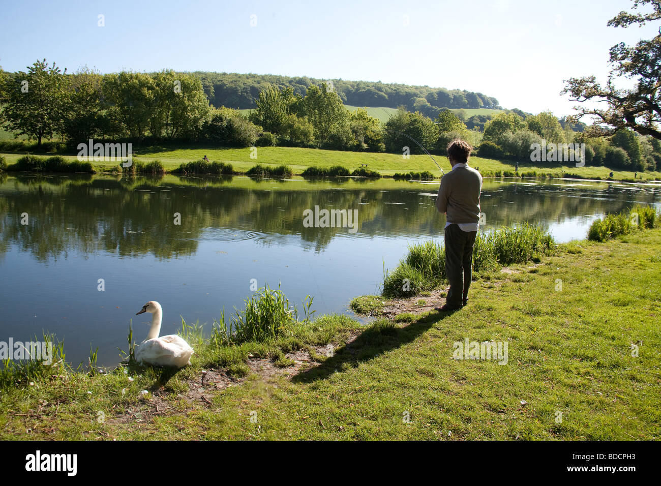 Hampshire country sports day hi-res stock photography and images - Alamy