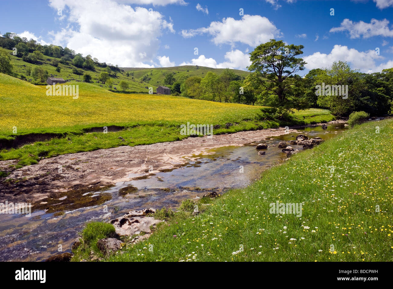 Langstrothdale in Yorkshire Dales North Yorkshire England Stock Photo ...