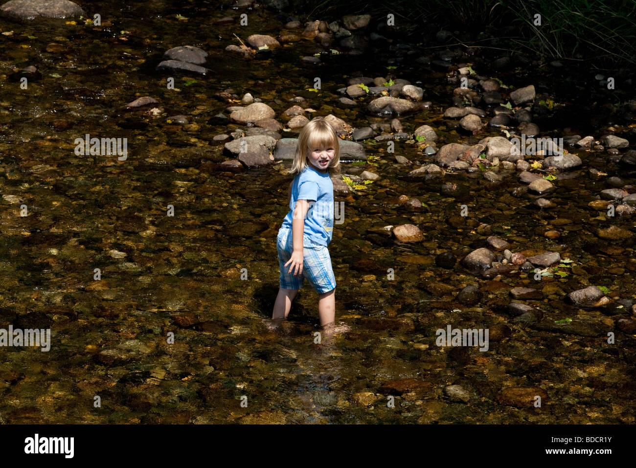 A young girl wading in a stream in Vermont United States on a hot ...