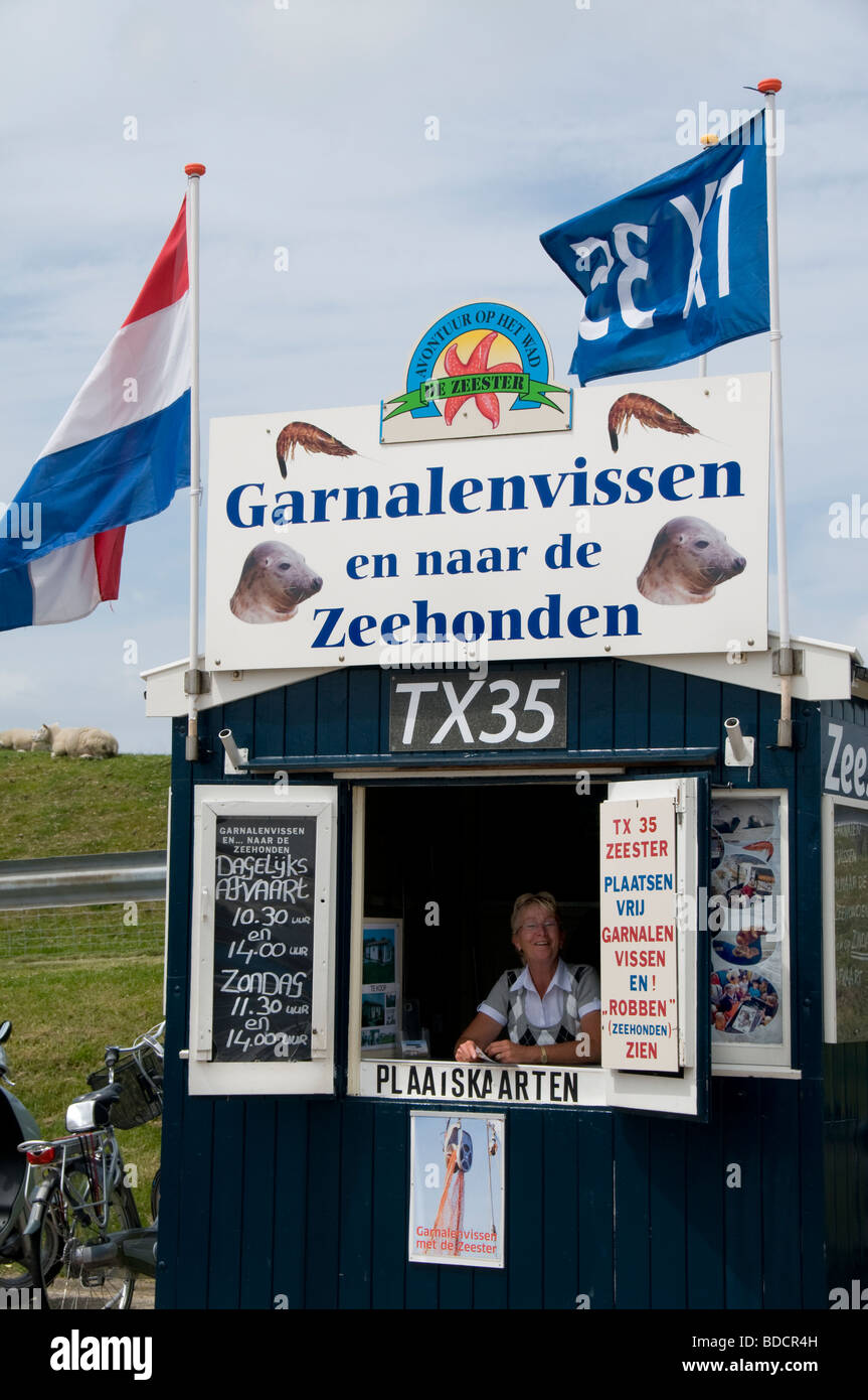 Texel Netherlands boat Oudeschild port harbor boat Wadden Sea Waddenzee ...