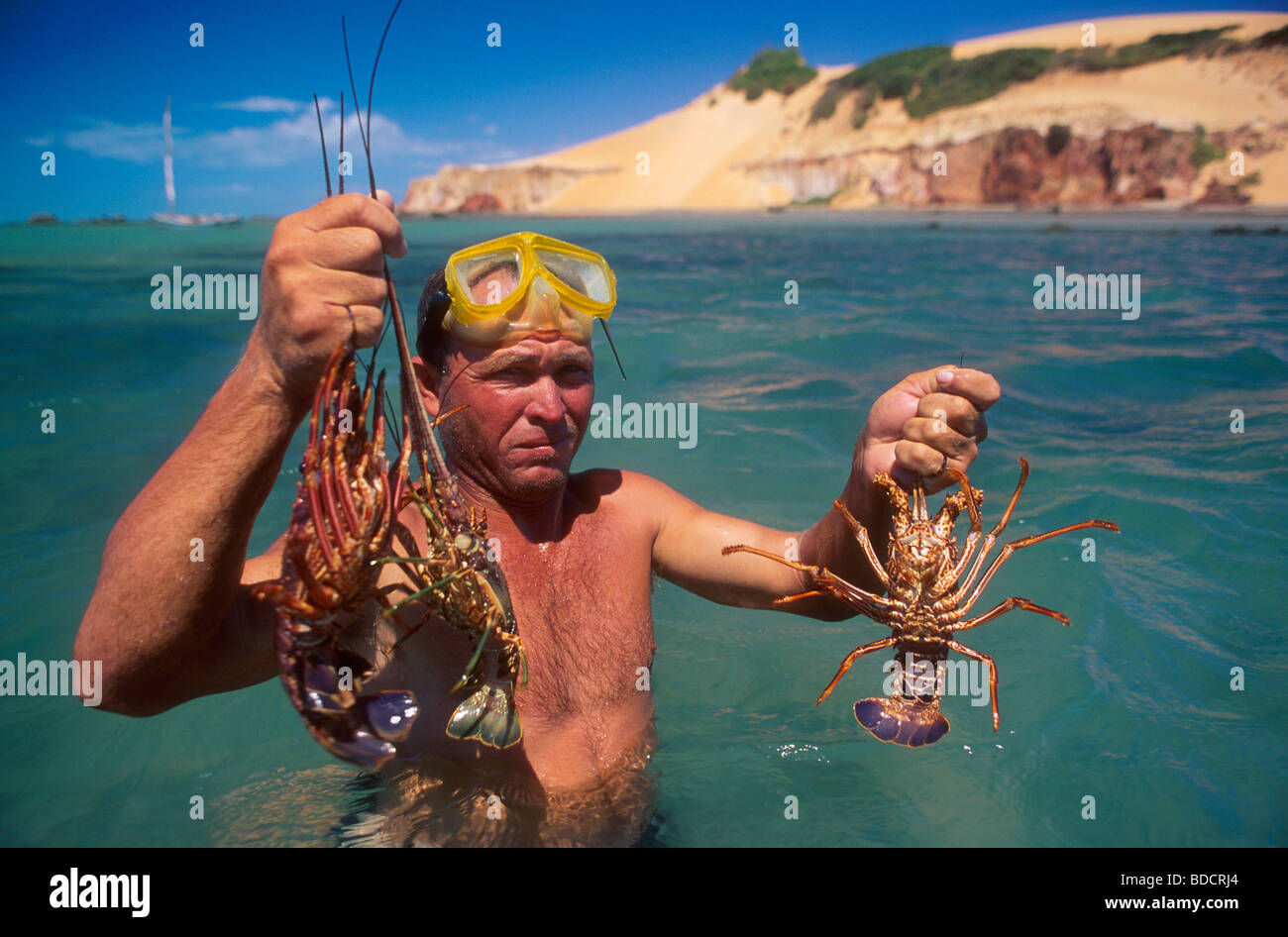 Lobster fishing Ceará State shore Tropical beach Brazil Stock Photo - Alamy