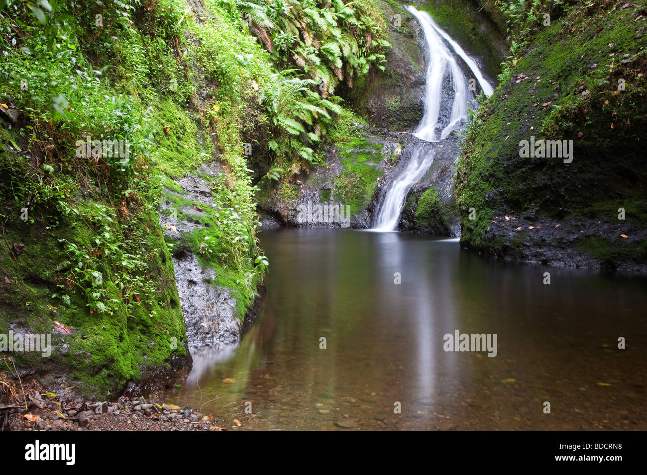 Wigmore's Waterfall on Rarotonga in The Cook Islands Stock Photo - Alamy