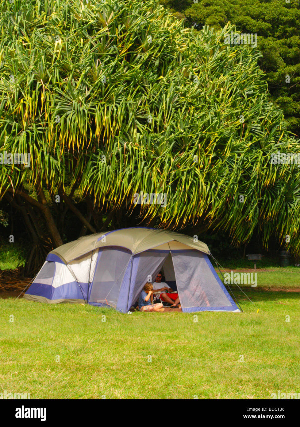 Camper tent shade hala tree hi-res stock photography and images - Alamy