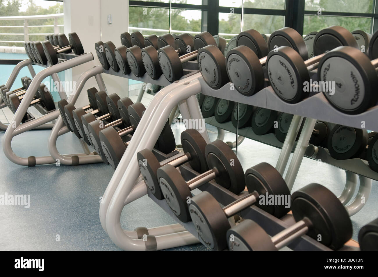 Dumbbell Weight Stack