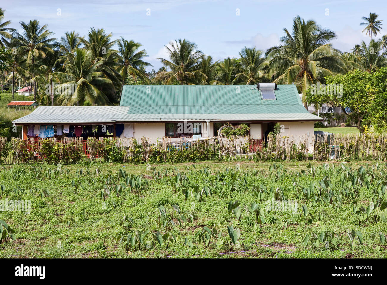 A house on Rarotonga in The Cook Islands Stock Photo - Alamy