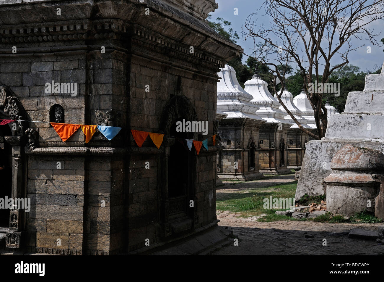 Pashupatinath Kathmandu Nepal line row of votive shrines chaityas ...