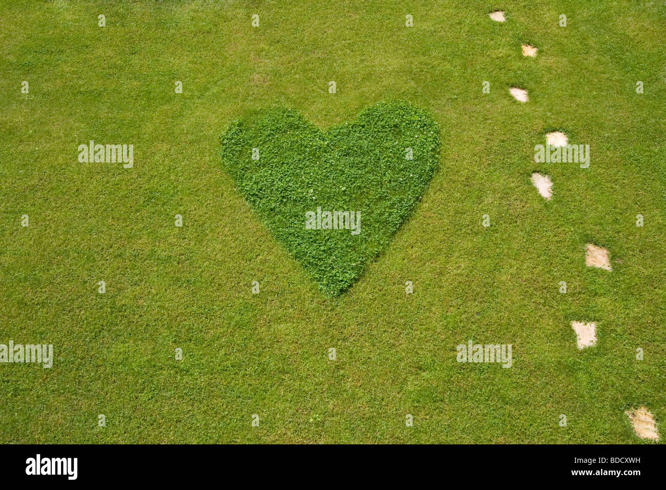 Heart of meadow Stock Photo - Alamy
