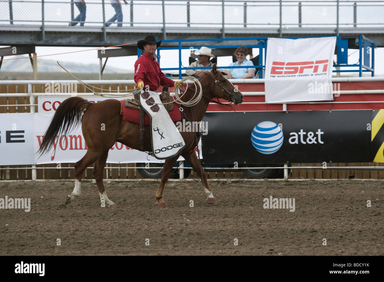 Extreme bull Rodeo Cody Wyoming Animal game sport Stock Photo - Alamy