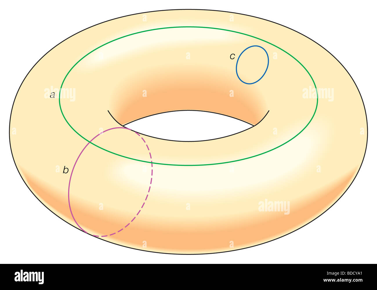 Torus shape hi-res stock photography and images - Alamy