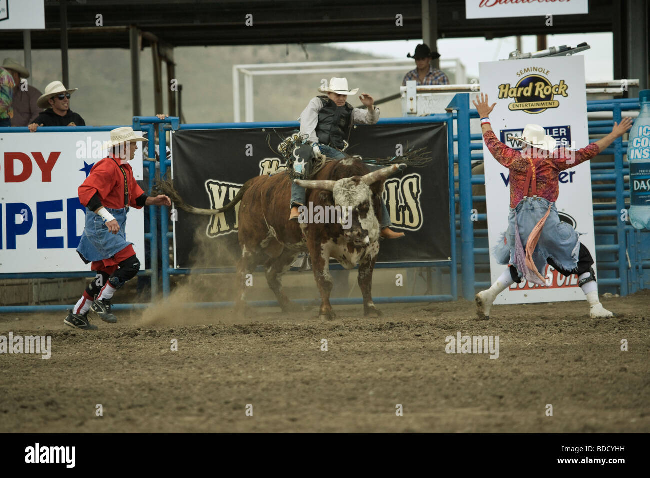 Cody wyoming hi-res stock photography and images - Alamy