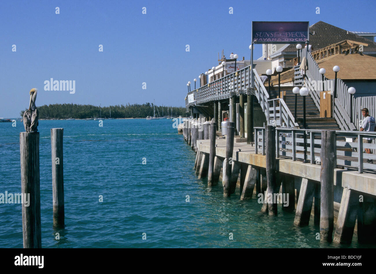 pelican perched on a post and Havana Dock complex in Key West Florida ...