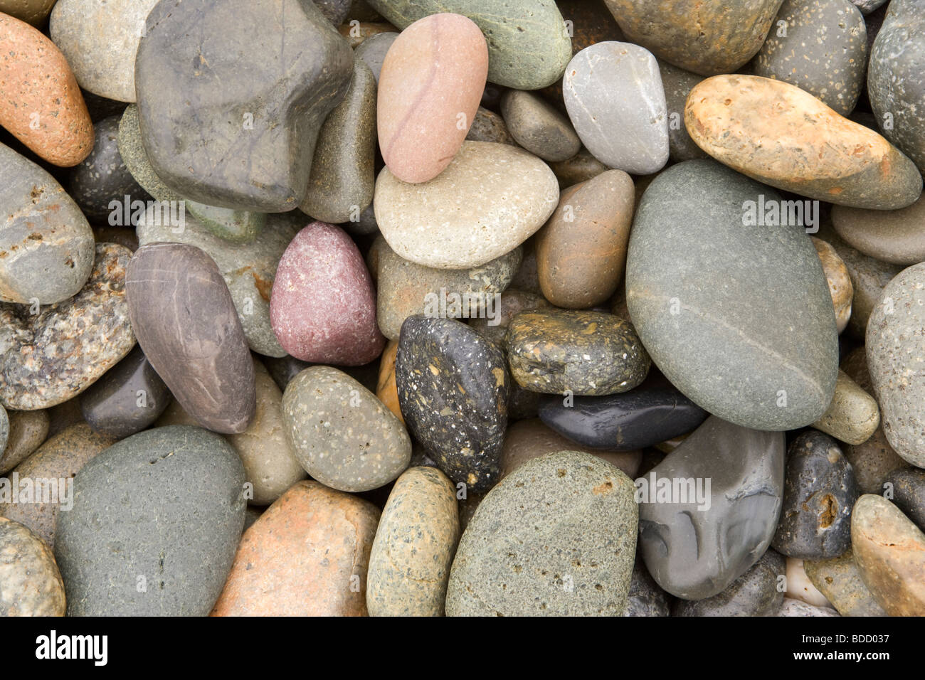 Pebbles on Beach Stock Photo - Alamy
