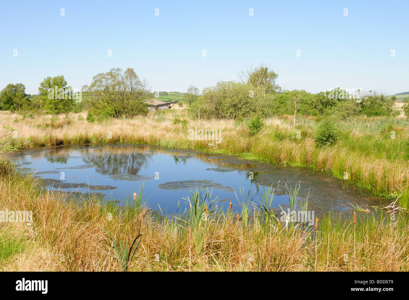 Finest example of a raised bog in britain hi-res stock photography and ...