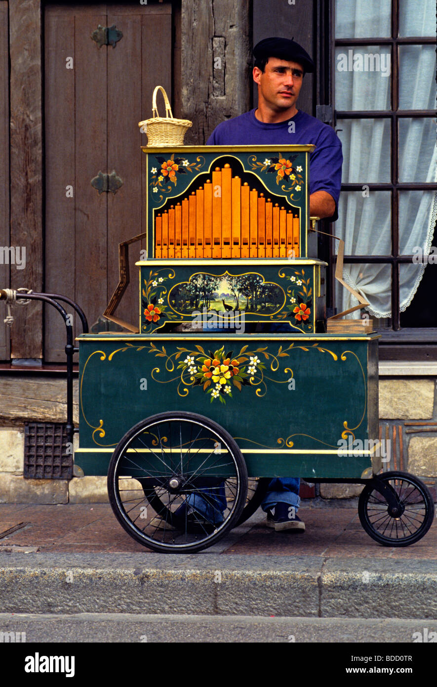 A traditional French hurdy-gurdy player with a decorated musical ...
