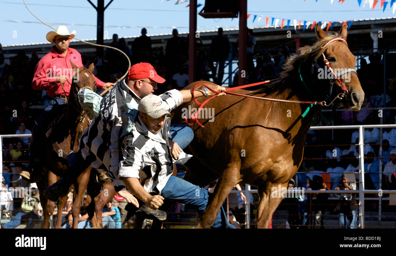 Louisiana State Penitentiary. Angola Prison Rodeo. PHOTO: GERRIT DE ...