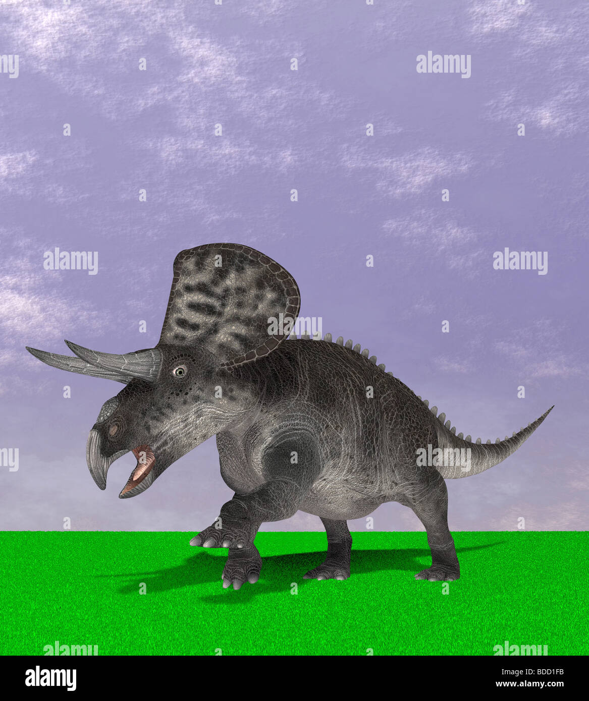 Zuniceratops hi-res stock photography and images - Alamy