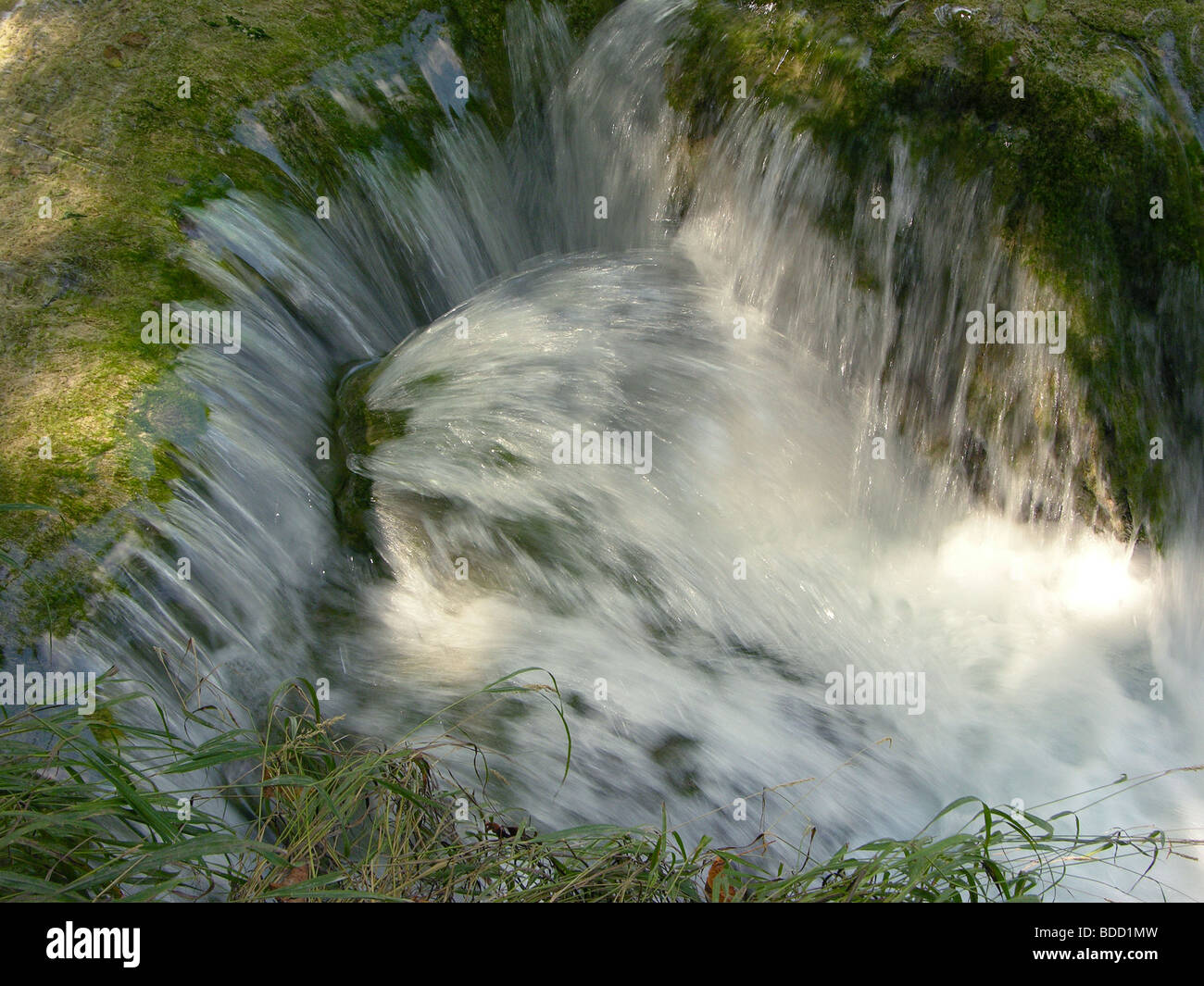 Plitvickie Lake, water, waterfall, lake, tree, trees, reeds, waterfalls ...