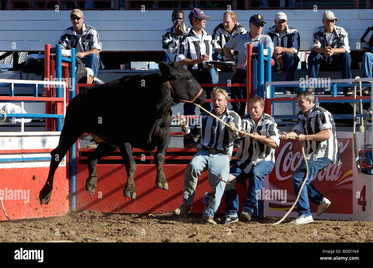 Louisiana State Penitentiary. Angola Prison Rodeo. PHOTO: GERRIT DE ...