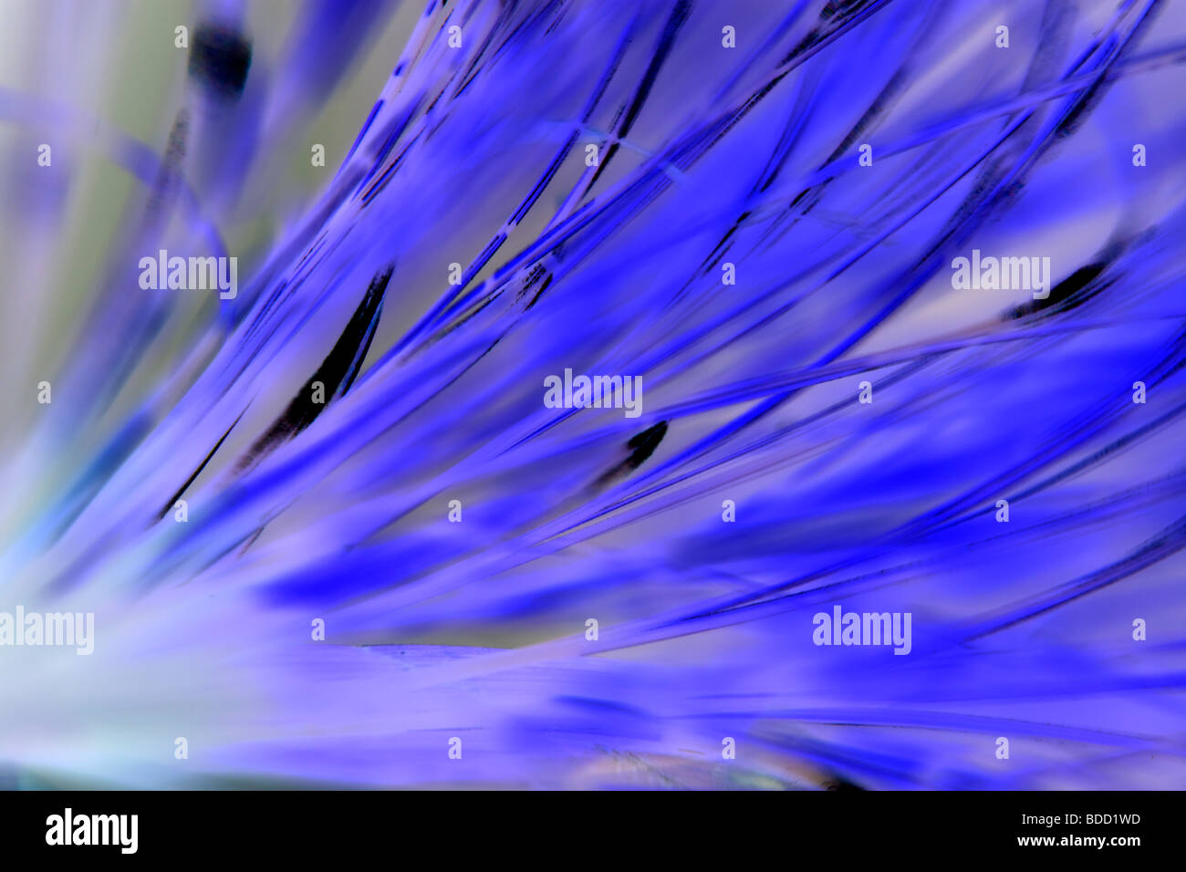 Digital altered hi-res stock photography and images - Alamy