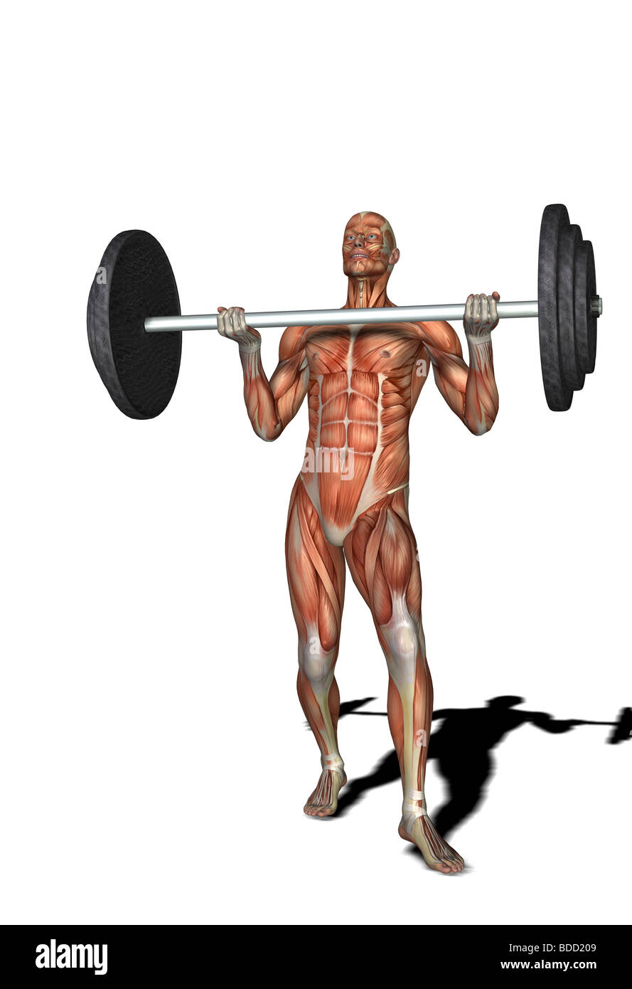 muscle man as weightlifter Stock Photo - Alamy
