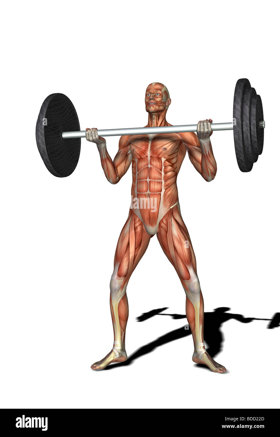 muscle man as weightlifter Stock Photo - Alamy
