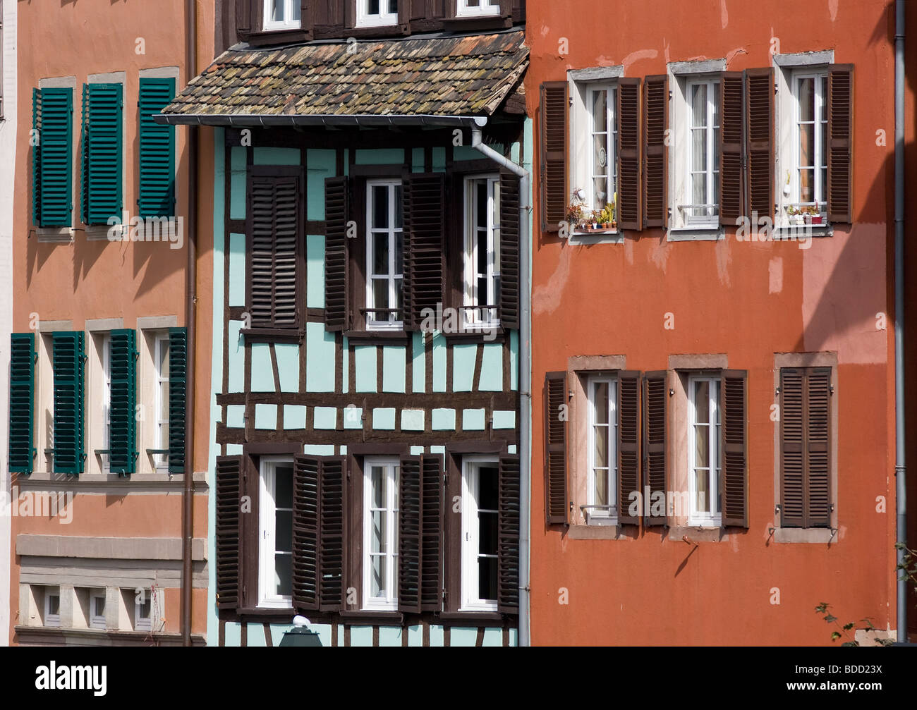 Half detail hi-res stock photography and images - Alamy