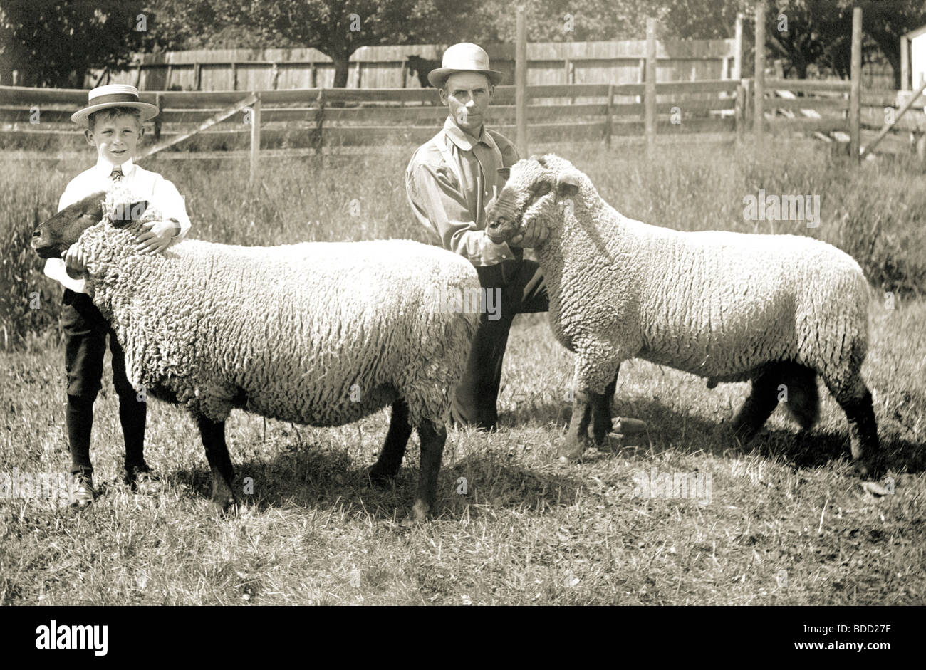 Father & Son Posing with Sheep Stock Photo - Alamy