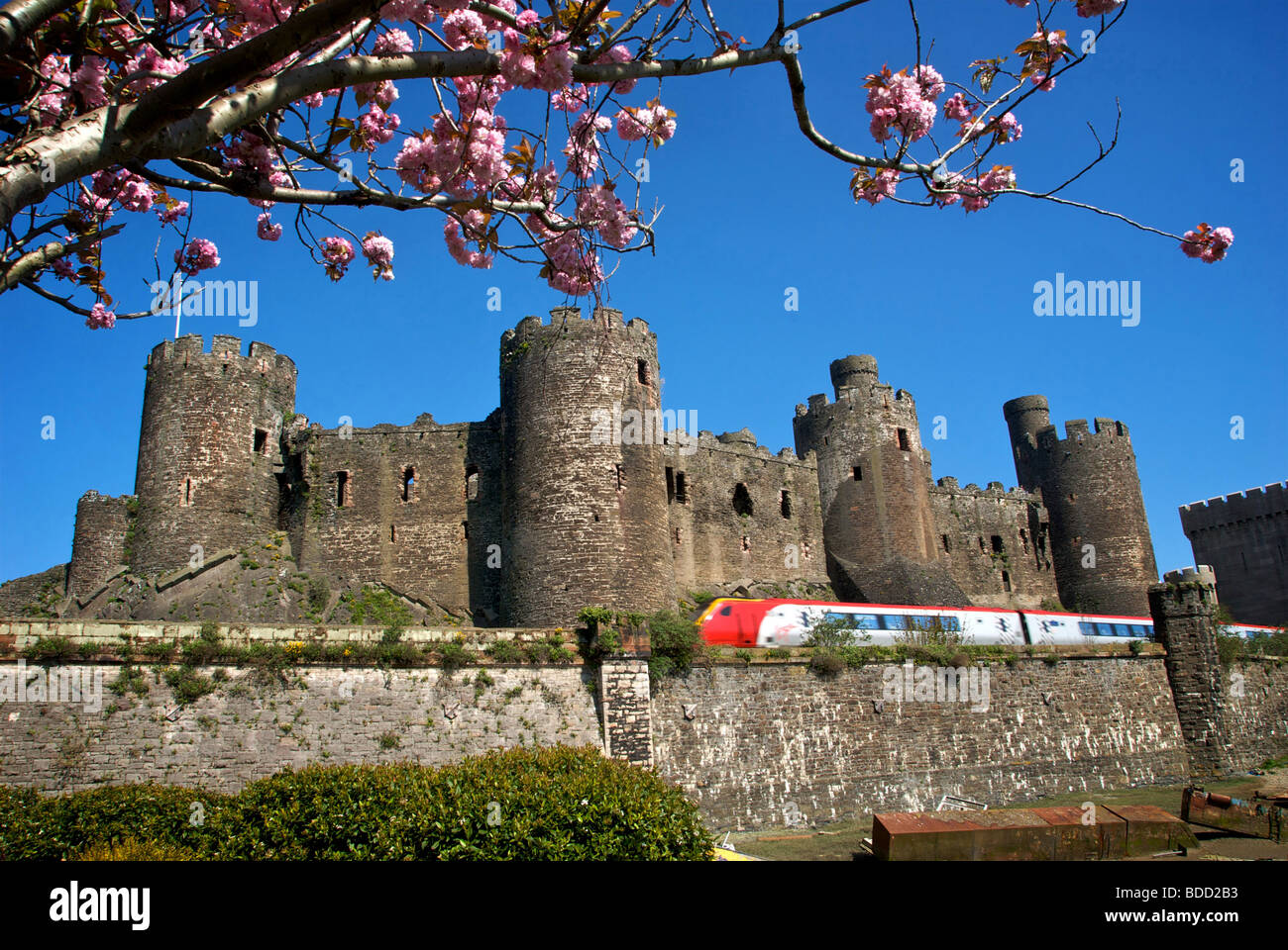 Conwy castle train hi-res stock photography and images - Alamy
