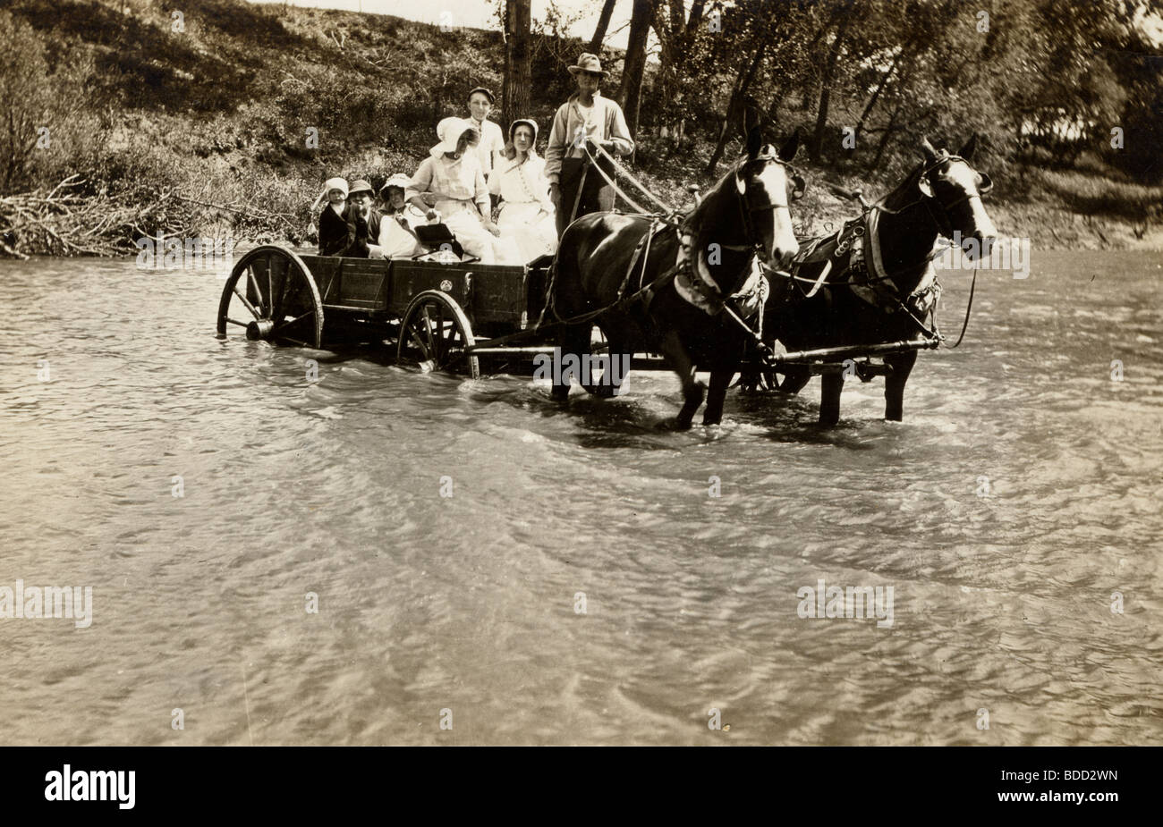Family in Horse Drawn Wagon Fording River Stock Photo - Alamy