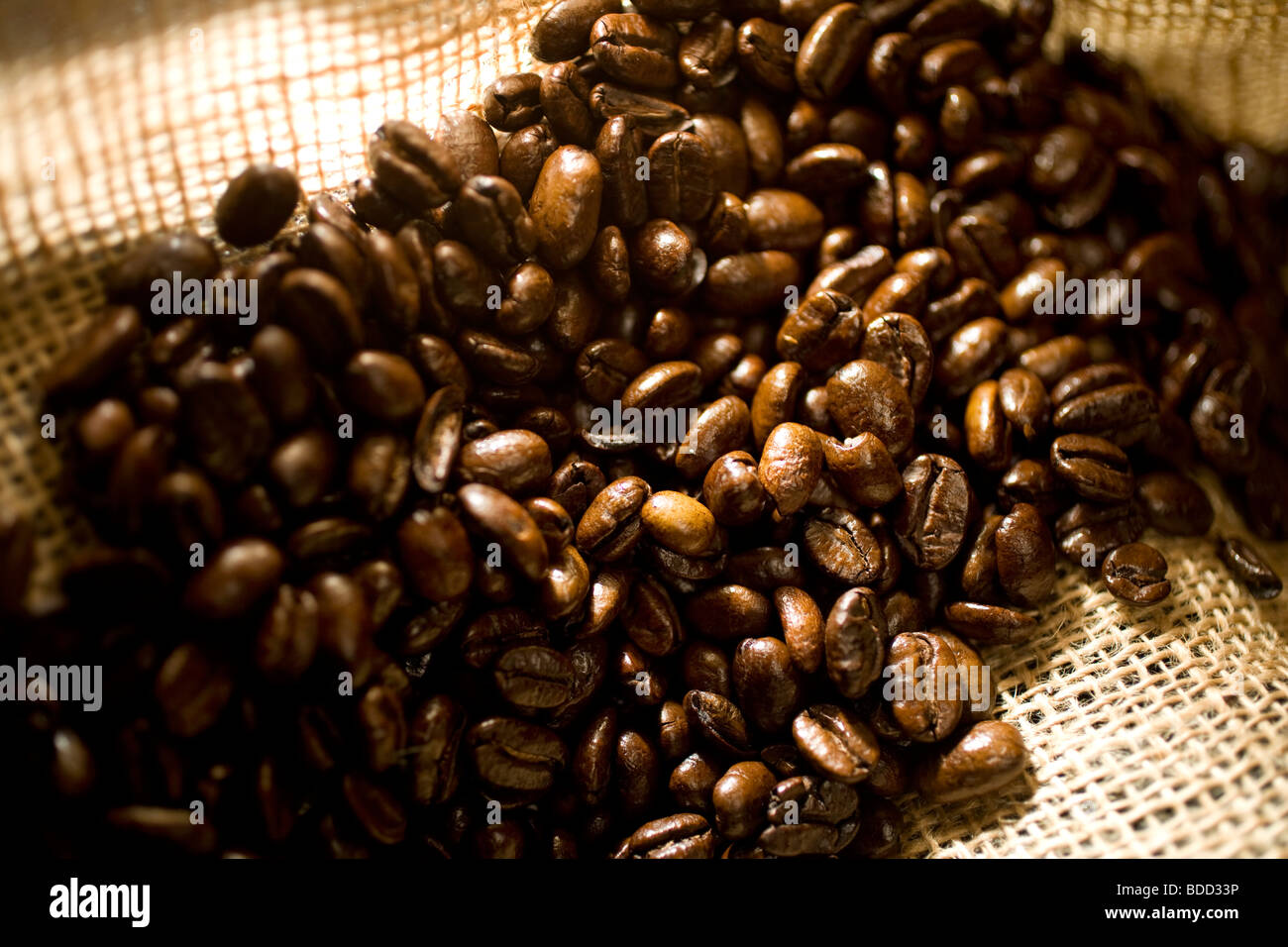 Roasted Arabica Coffee Beans in Hessian Sack Stock Photo - Alamy